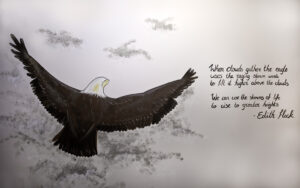 Serenity Counselling | Counselling Services Lisburn